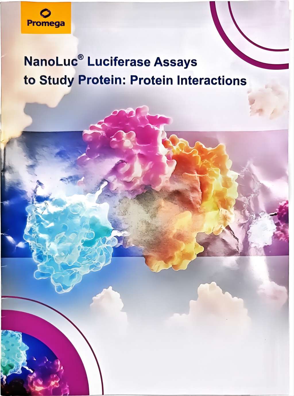 NanoLuc"Luciferase Assaysto Study Protein: Protein Interactions - 四川爱博润 ...